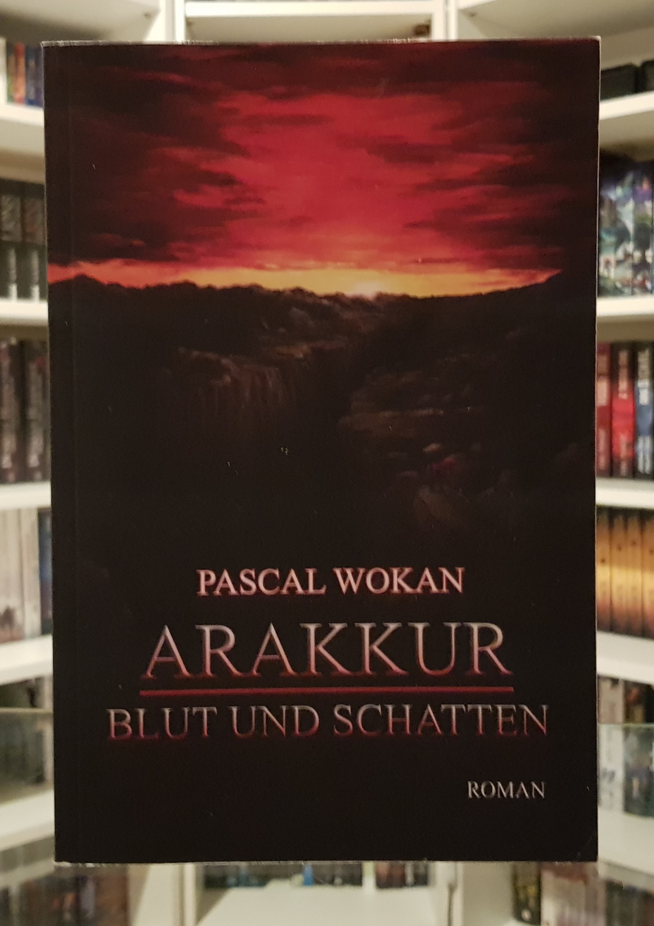 Rezension zu Arakkur Zusatzband: Blut und Schatten von Pascal Wokan ...